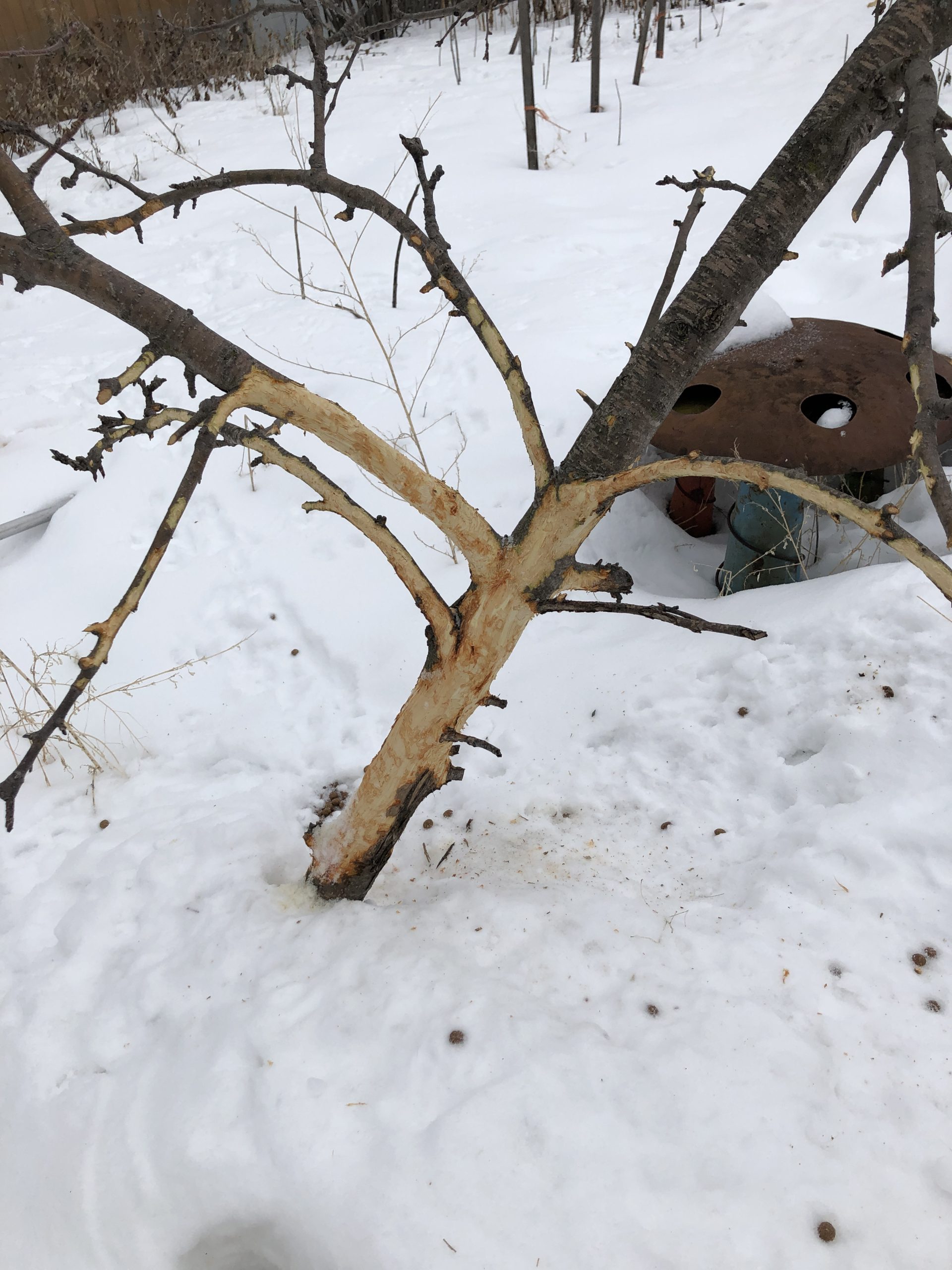 Infiltrated! – A Stone in the River